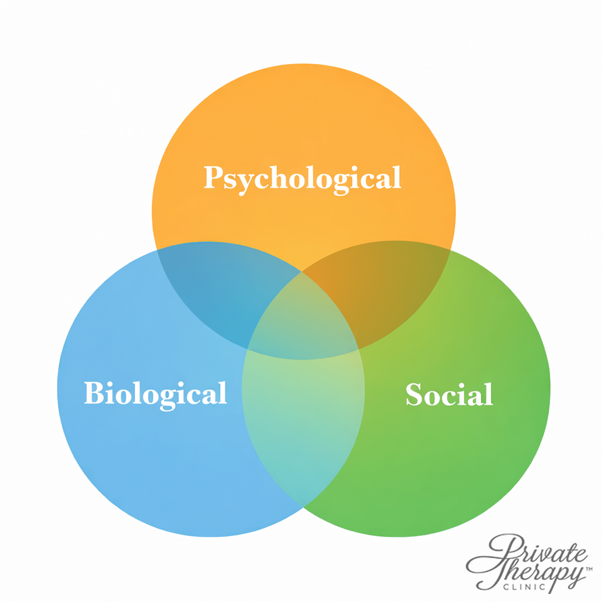 What causes Paranoid Personality Disorder? | Private Therapy Clinic
